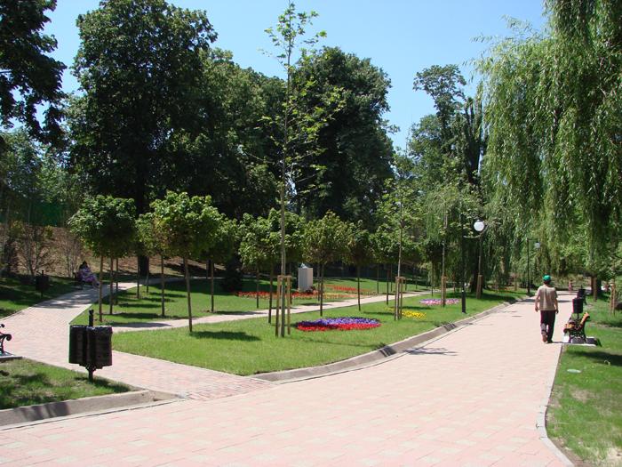 Primăria București