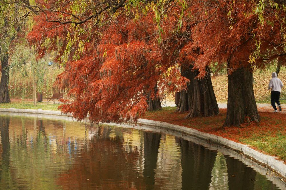 Primăria București